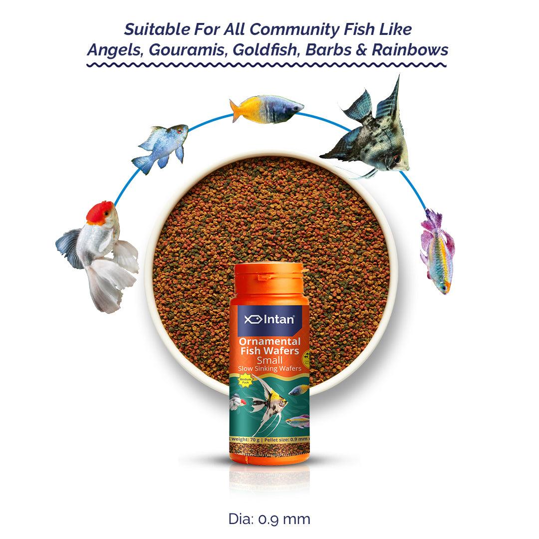 Ornamental Fish Wafers (Small) slow sinking wafers 70g - Aquatalk