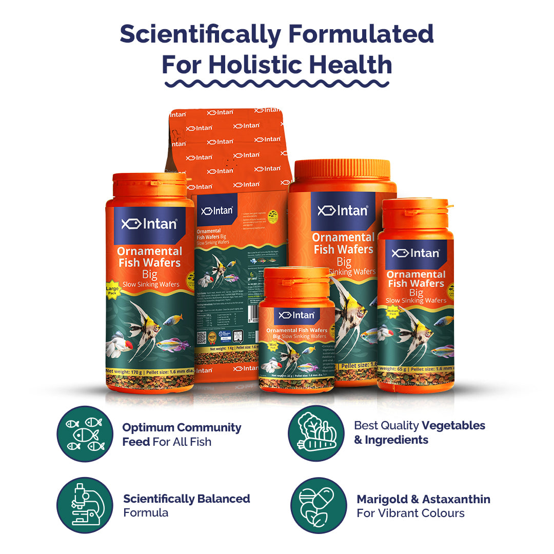 Ornamental Fish Wafers (Small) slow sinking wafers 70g - Aquatalk