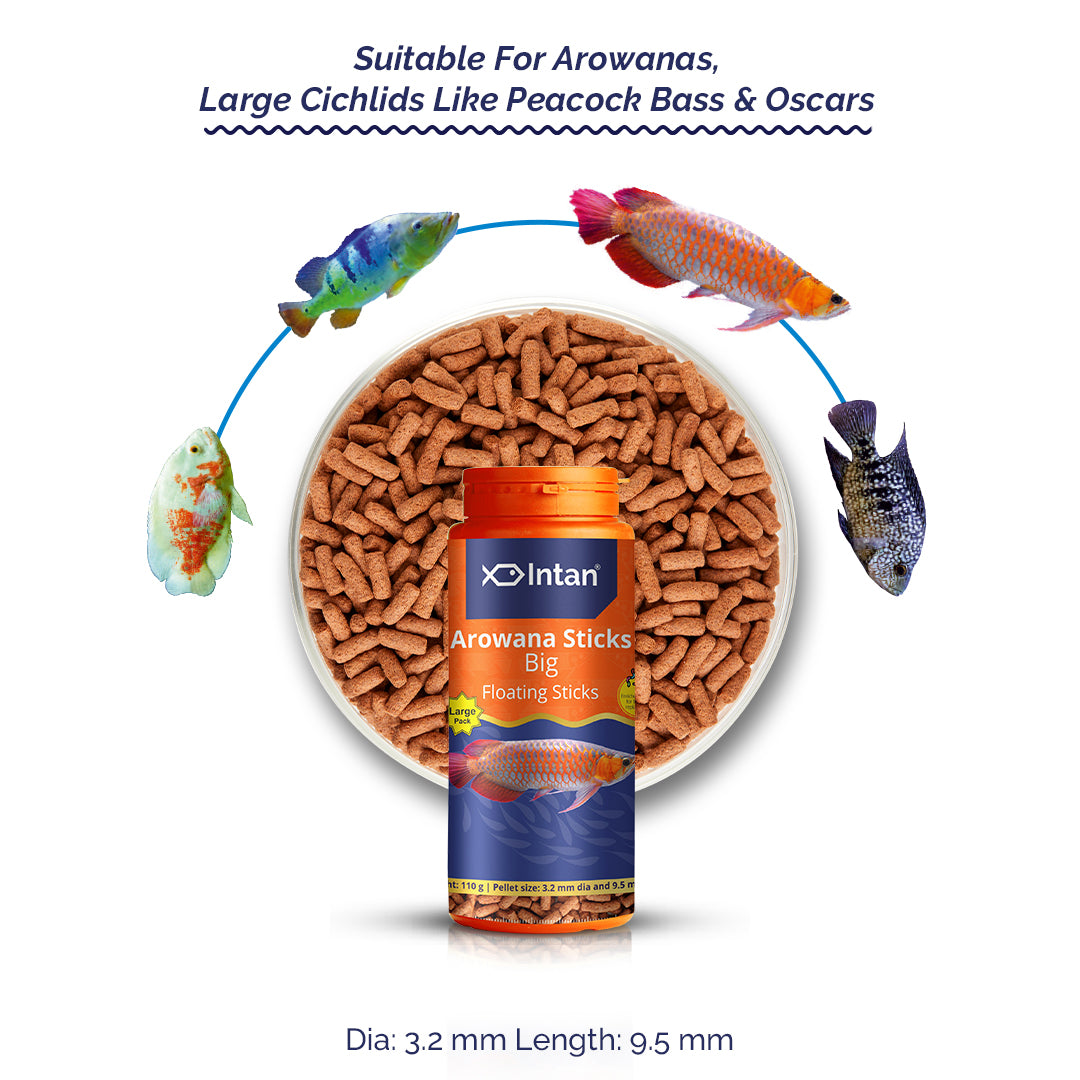 Intan Arowana Sticks (Big 2.5mm) floating sticks 110g - Aquatalk